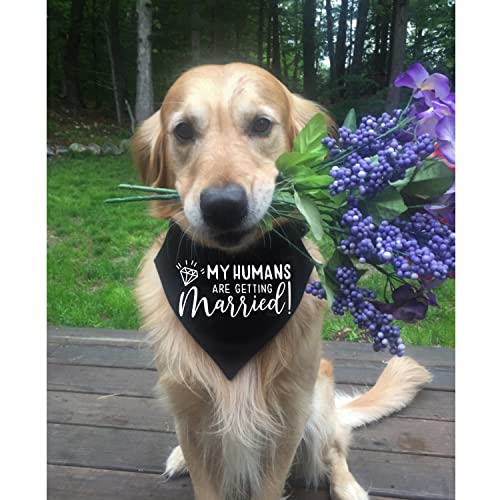 Engagement Gift, My Humans are Getting Married Dog Bandana Collar, Strong D-Ring for Easy Leash Attached Engagement Dog Bandana, Adjustable Dog Collar with Quick Release Buckle for Dogs Cats