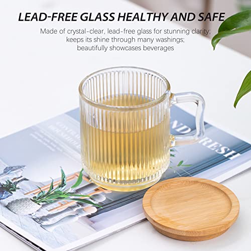 Leadiy Transparent Glass Coffee Mug with Lid, Clear Glass Coffee Cups, Classical Vertical Stripes Coffee Mugs for Latte Juice Tea 12.5 Ounces