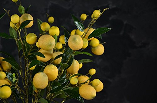 GiDiProtea Artificial Lemon Branch Yellow Vivid Artificial Fake Lemon Flower Home Party Garden Decoration 2Pcs 7 Lemons