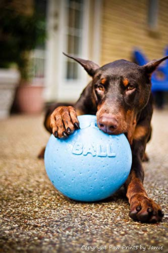 Jolly Pets Bounce-n-Play Dog Toy Ball, 8 Inches/Large, Blueberry, (Model: 2508 BB)