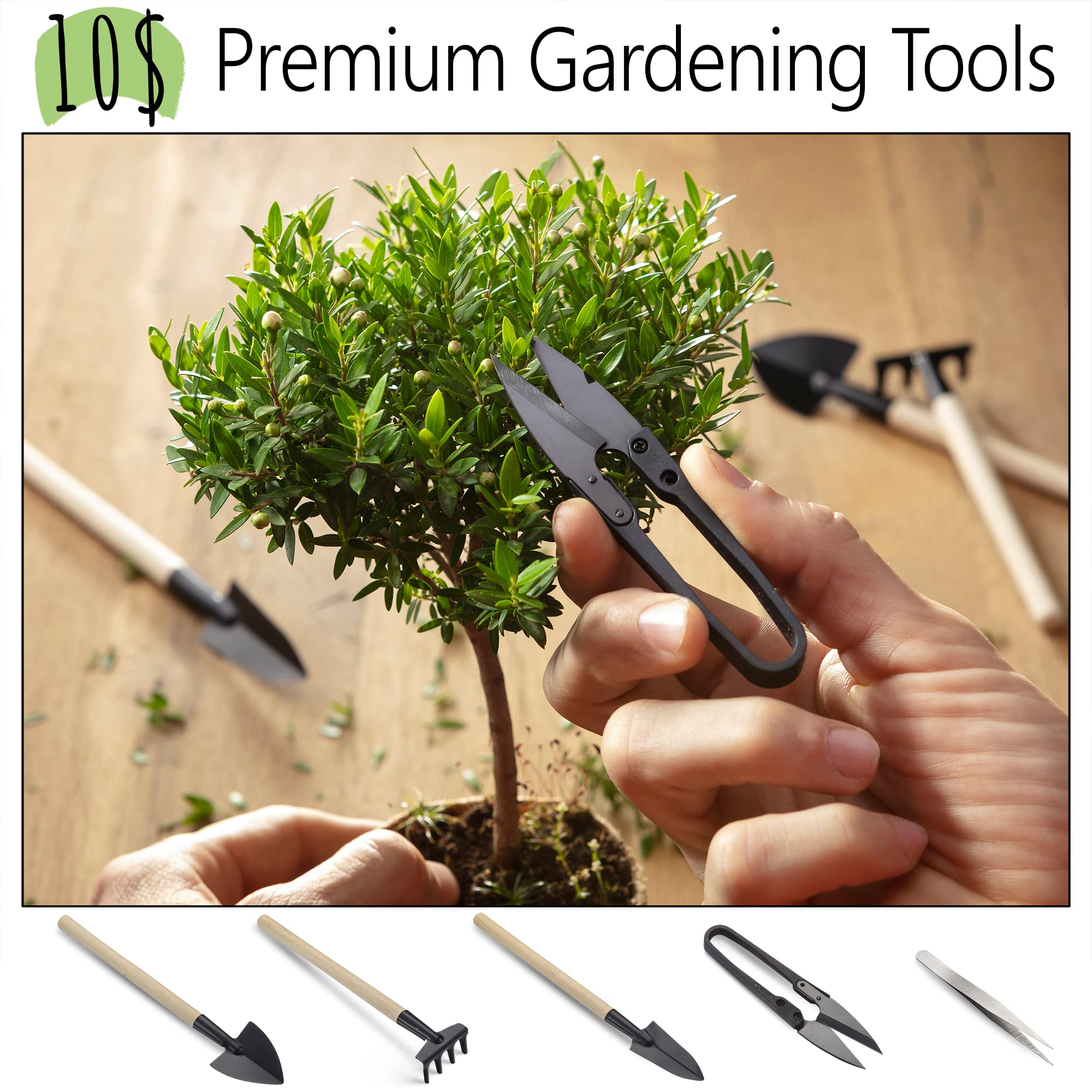 AVERGO Bonsai Tree Kit β 5X Unique Japanese Bonzai Trees | Complete Indoor Bonsai Starter Kit for Growing Bonsai Plants with Tools & Planters β Gardening Gifts for Women & Men