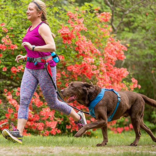 Kurgo K9 Excursion Belt, Hands Free Dog Running Belt, Running Dog Leash Belt, with Poop Bag Dispenser, Adjustable, Reflective Trim, Two Leash Clips, for Running, Walking, Hiking