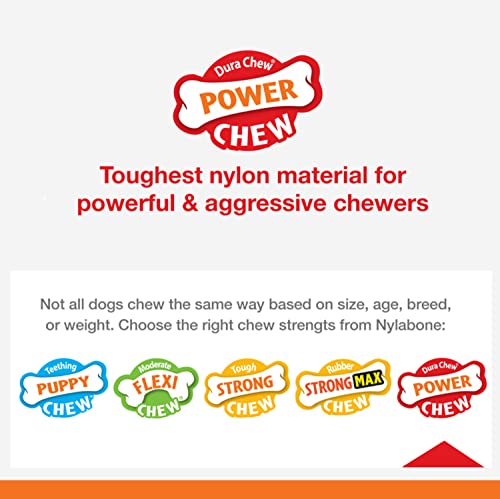 Nylabone Dura Chew Power Chew Textured Bone Flavor Medley Small/Regular (1 Count)