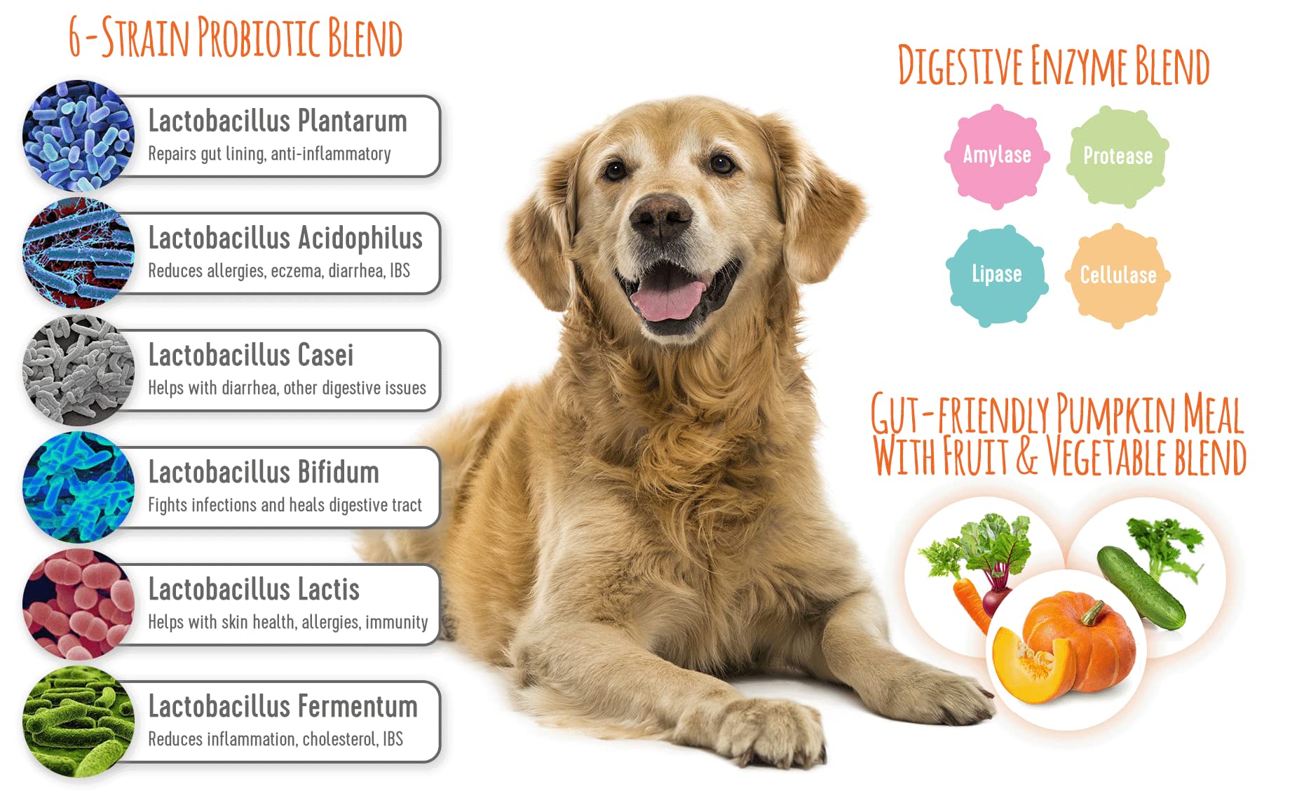 Extend® Probiotics for Dogs - Digestive Health, Immune, Allergy & Skin Support - Reduce Gastric Distress, Bloating, Constipation, Diarrhea - Natural, Clinically-Proven, Made in USA
