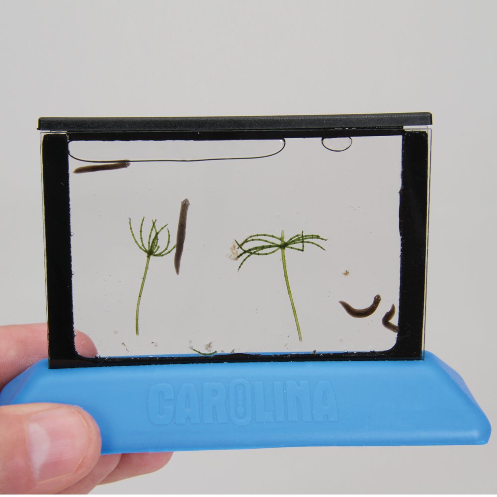 Microaquarium, 5-Ml Capacity, Chamber With Stand