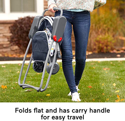 Fisher-Price GKH38 On The Go Swing, Citron Wedges