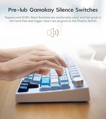 GK GAMAKAY TK75 75% Mute Mechanical Keyboard with Knob Control, Hot Swap RGB Bluetooth 5.0/2.4GHz Wireless/USB-C Wired PBT Cherry Profile Keycaps Silent Gaming Keyboard (GamaKay Pegasus Switch)
