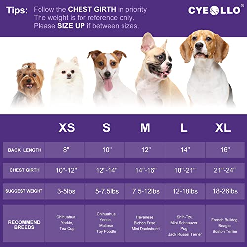 cyeollo 2 Pack Tie Dye Dog Dress Stretchy Dresses Breathable Pet Soft Dog Clothes for Small Dogs Girl