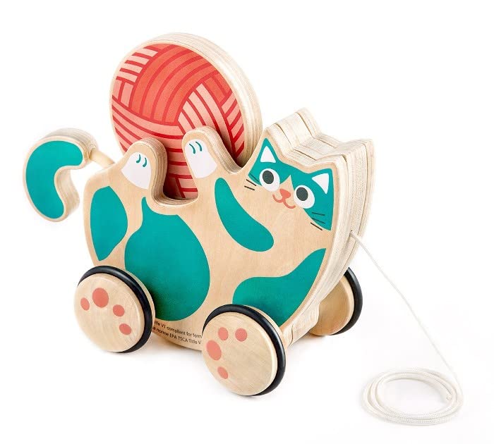 Hape Wooden Walk-A-Long Kitten Pull Toy| Roll & Rattle Push Pull Toy for Toddler| Montessori Toys for Walking Toddlers, Green