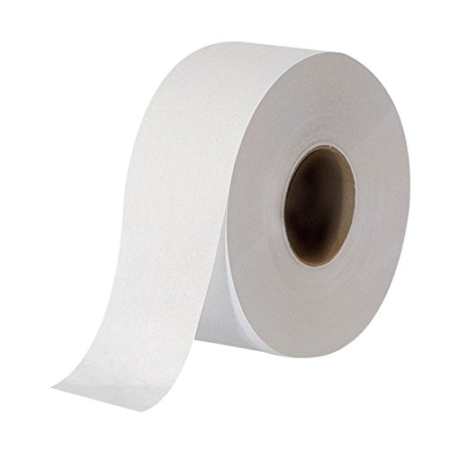 Georgia Pacific Envision® Two-Ply Jumbo Jr. Bathroom Tissue TISSUE,2PLY,BATH,JMBRL,WE 2974B001 (Pack of2)