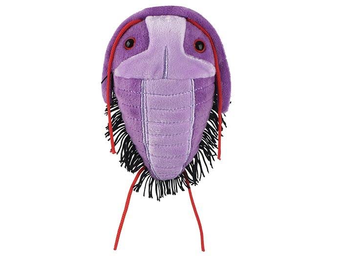 GIANT MICROBES Fuzzy Fossils Trilobite Plush - Learn About Fossils and Prehistoric Creatures, Unique Gift for Family, Friends, Scientists, Nature Lovers and Dinosaur Fans