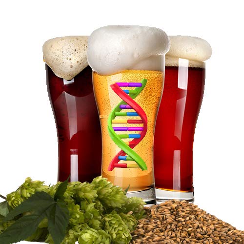 Austin Homebrew Clone Recipe Dixie Blackened Voodoo Lager (4A) - EXTRACT