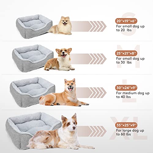 FURTIME Medium Dog Beds for Medium Dogs, Rectangle Washable Dog Bed, Orthopedic Dog Bed Soft and Comfy Calming Puppy Bed Waterproof Dog Cuddler Sofa Pet Bed with Anti-Slip Bottom M(25''x21''x8'')