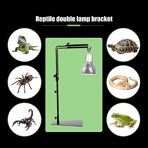 DGBAIZ Reptile Lamp Stand,Pet Lamp Land Bracket,2Hooks Adjustable Metal Floor Light Lamp Holder Lamp Support for Reptile or Succulent Plants Glass Terrarium Heating Light
