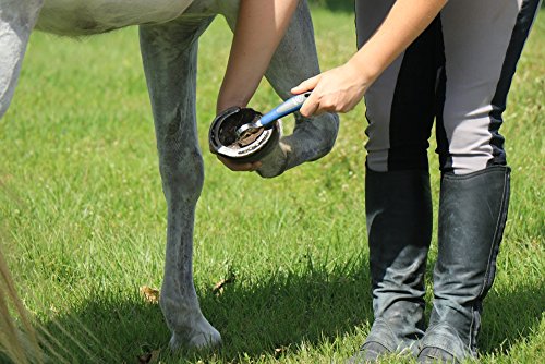 Oster Equine Care Series 7-Piece Horse Grooming Kit