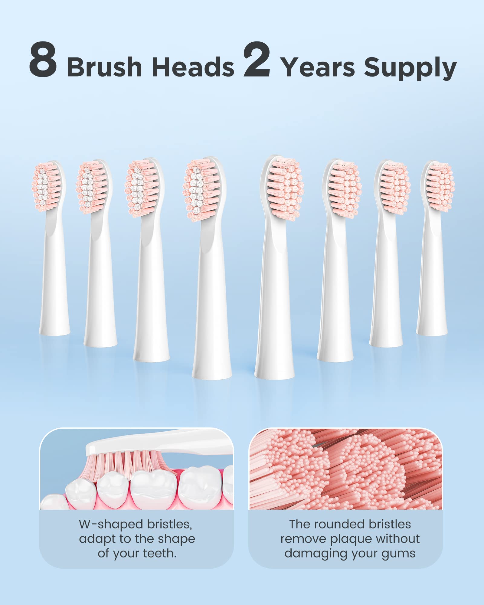 Bitvae Sonic Electric Toothbrush Electronic Toothbrush for Adults with 8 &4 Brush Heads, Travel Rechargeable Power Toothrush for 30 Days Using, Ultrasonic Toothbrush with 5 Modes and Timer (Pink)