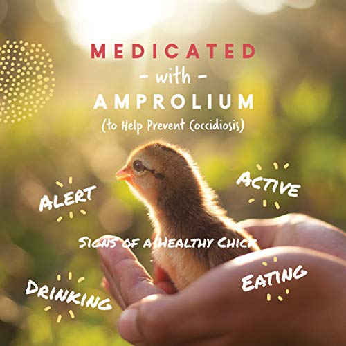 Manna Pro birds Chick Starter | Medicated Chick Feed Formulated with Amprolium | Prevents Coccidiosis | Feed Crumbles | 5 Pounds