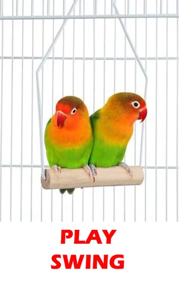 Large Open Top Canary Parakeet Cockatiel Lovebird Finch Bird Cage - 18" Length x 14" Depth x 35" Height