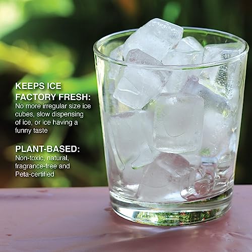 Ginger Lily Farms Botanicals Plant-Based Ice Maker Cleaner & Descaler for All Ice Machines, 32 Uses, Safe for All Metals, 1 Gallon (128 fl. oz.)