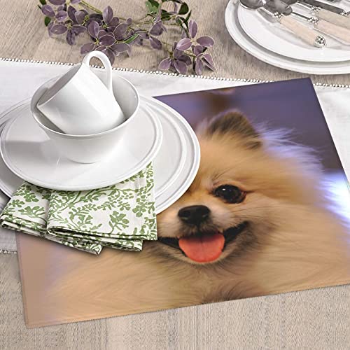 Happy short-haired pomeranian Printed Drying Mat For Kitchen Ultra Absorbent Microfiber Dishes Drainer Mats Non-Slip Silicone Quick Dry Pad - 18 X 16inch