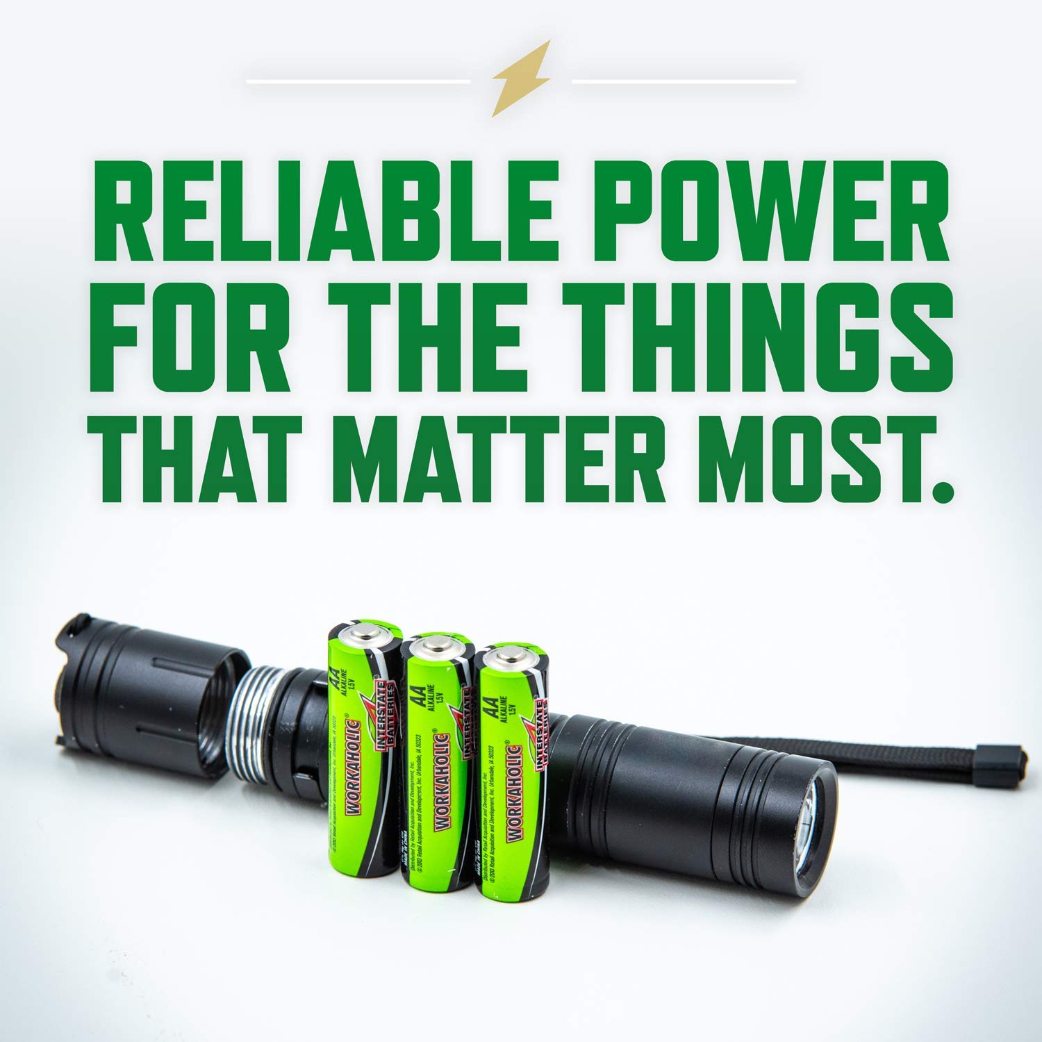 Interstate Batteries AAA Alkaline Battery (24 Pack) All-Purpose 1.5V High Performance Batteries - Workaholic (DRY0075)