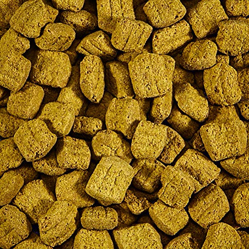 Kaytee Biscuit Parrot Treat 10 oz
