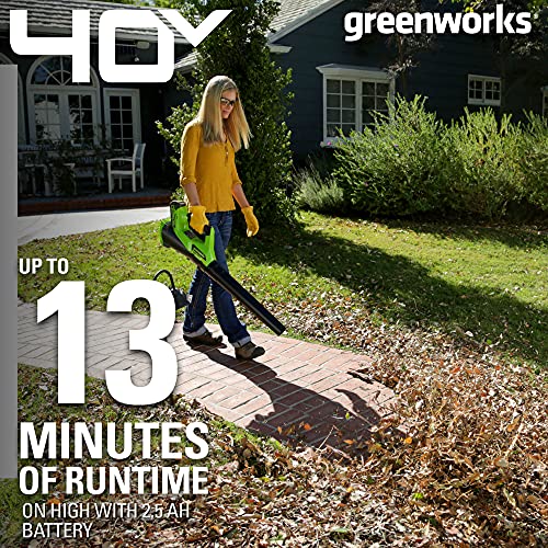 Greenworks 40V 14-Inch Mower/Axial Blower/12-Inch String Trimmer Combo Kit, 4Ah USB Battery and Charger Included, CK40B411