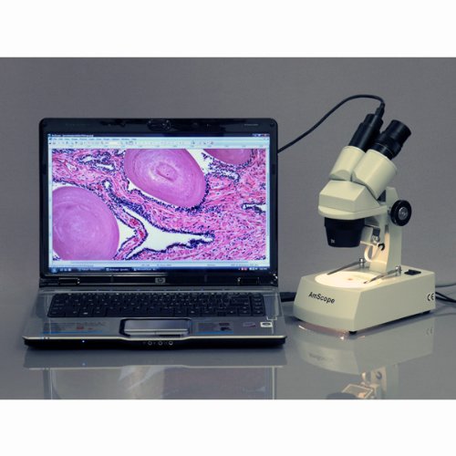 AmScope SE306-AZ-E2 Digital Binocular Stereo Microscope, WF10x and WF20x Eyepieces, 20X/40X/80X Magnification, 2X and 4X Objectives, Upper and Lower Halogen Lighting, Reversible Black/White Stage Plate, Arm Stand, 120V, Includes 2MP Camera and Software