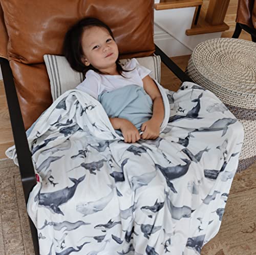 Pobi Baby Premium Baby Blanket, Soft Stretchy Quilt for Babies, Toddlers, Kids (Seaside)