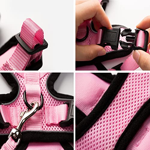 FIIL Cat Harness and Leash for Walking, Escape Proof Soft Adjustable Vest Harnesses for Cats, Adjustable Dog Harness - Reflective and Soft(Pink). (XS, Pink)