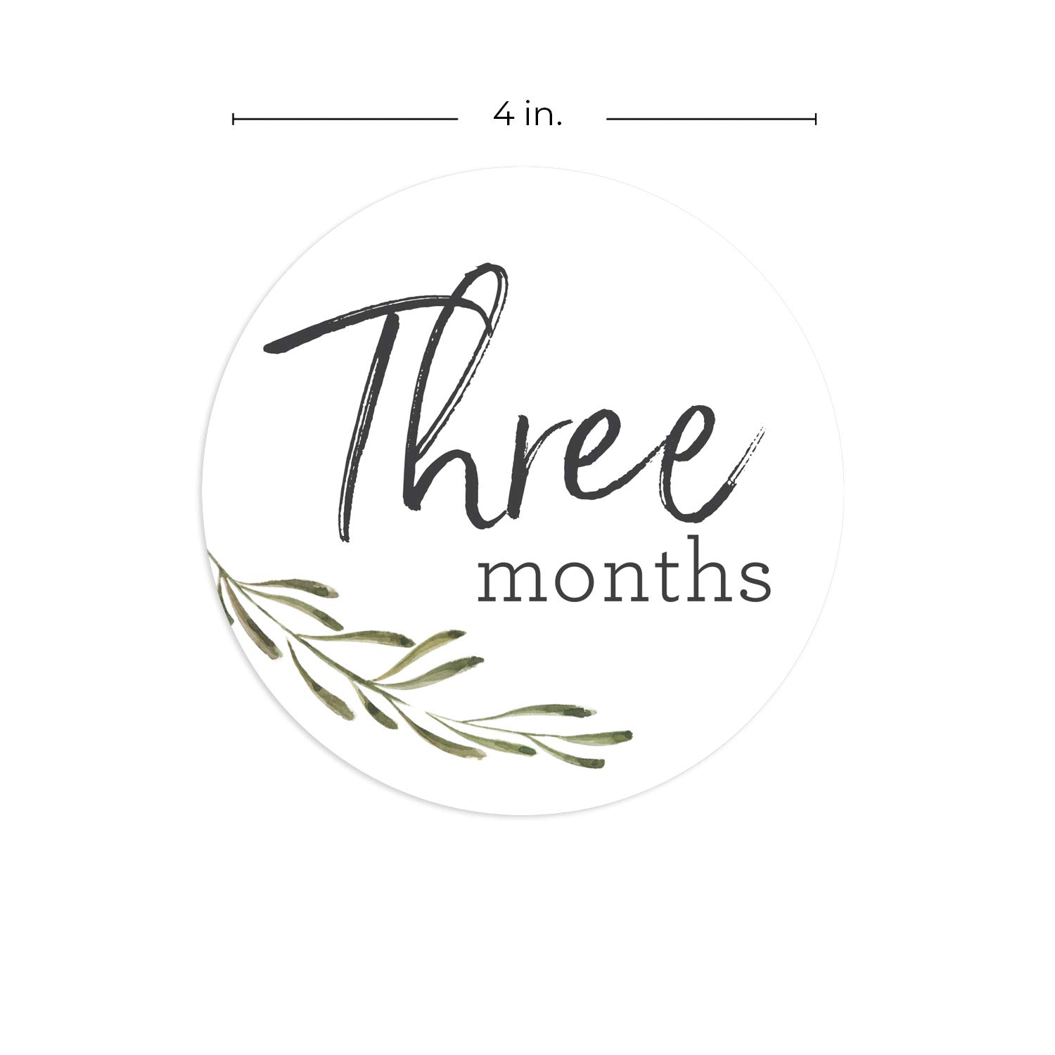 Baby Milestone Signs/Greenery Monthly Milestones/Botanical Infant Photo Prop