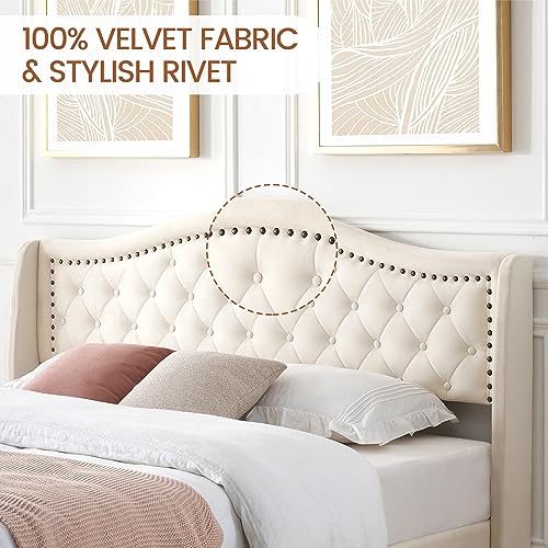 GAOMON King Size Upholstered Platform Bed Frame with Tall Headboard, Luxurious Velvet Button Tufted and Nailhead Trim Wingback, Arched Footboard, No Box Spring Needed, Beige