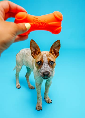 Hartz Dura Play Bacon Scented Bone Dog Toy - Small ( Colors may vary )