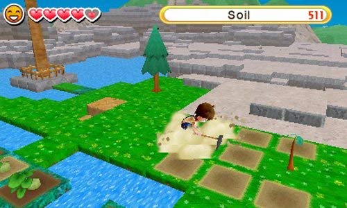 Harvest Moon Skytree Village - Nintendo 3DS (Renewed)