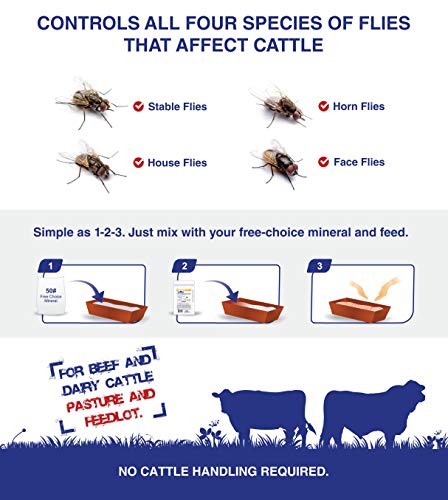 JustiFLY Champion USA Feedthrough Cattle Fly Control, Single | Non-Toxic Larvicide. Controls All Four Fly Species That Affect Cattle. Over 50 Million Head Treated