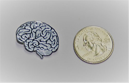 Lateral View Brain Pin