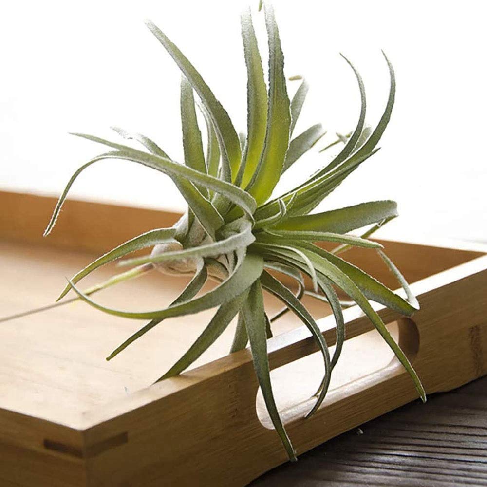 Haudang 4Pack Artificial Pineapple Grass Air Plants Fake Flowers Faux Flocking Tillandsia Bromeliads Home Garden Decor