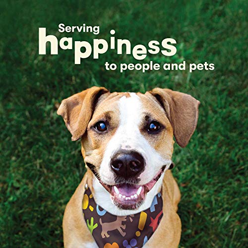 Pet 'n Shape Chik 'n Hide Twists β Chicken Wrapped Rawhide Natural Dog Treats, Small, 16 oz