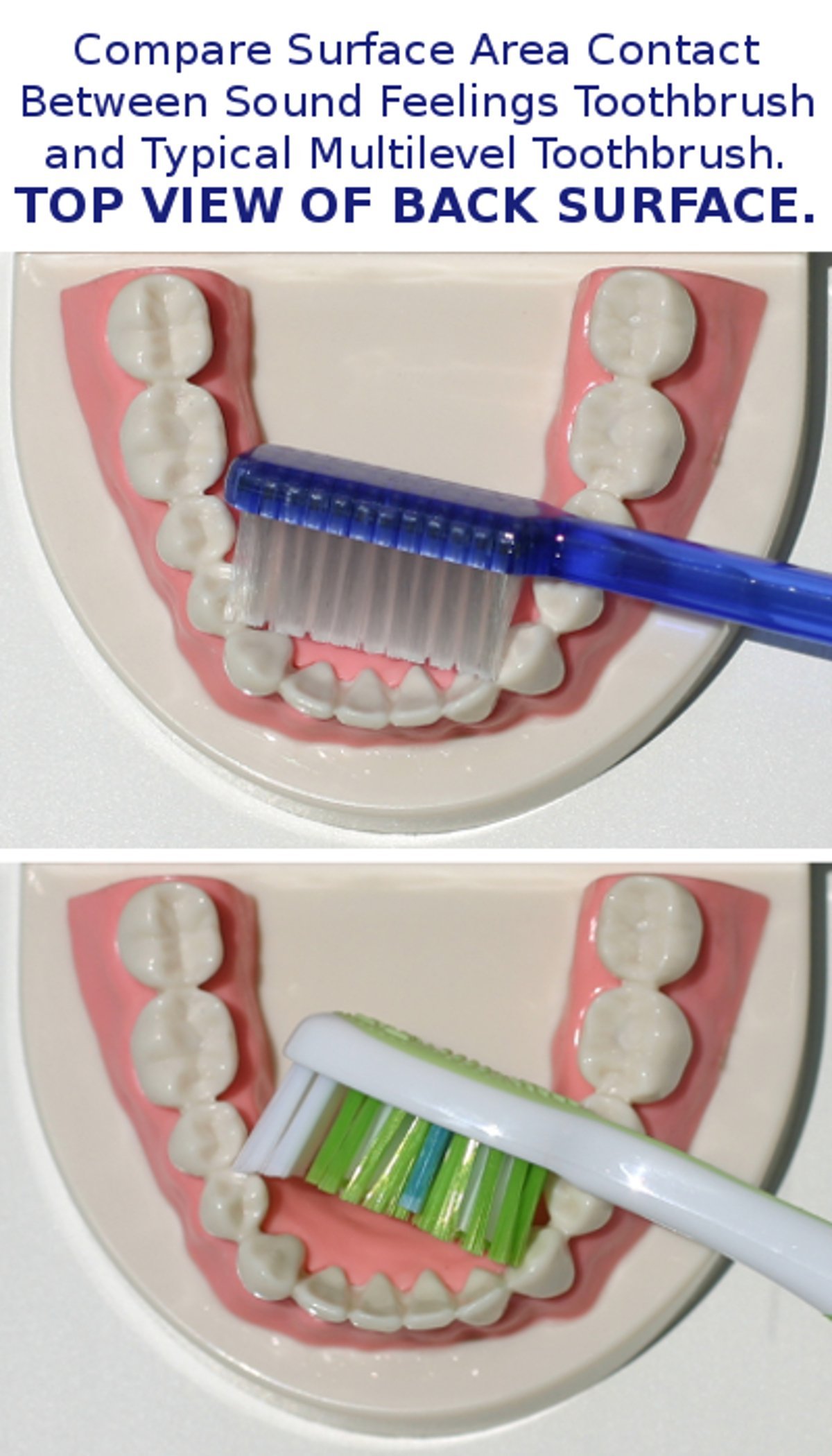 Sound Feelings Toothbrush - Basic, Extra Soft, 4-Pack, Adult - Periodontal, Exfoliation