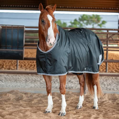 Classic Equine Classic Stable Sheet with Closed Front, Black, Large