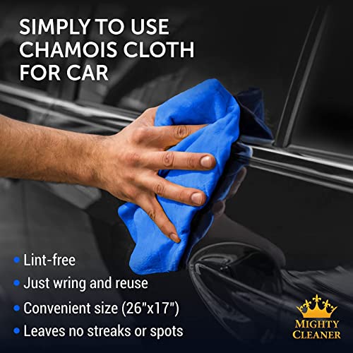 Premium Chamois Cloth for Car Drying - 26βx17β - Super Absorbent Reusable Shammy Towel for Car + Storage Tube - Scratch-Free Car Drying Shammy