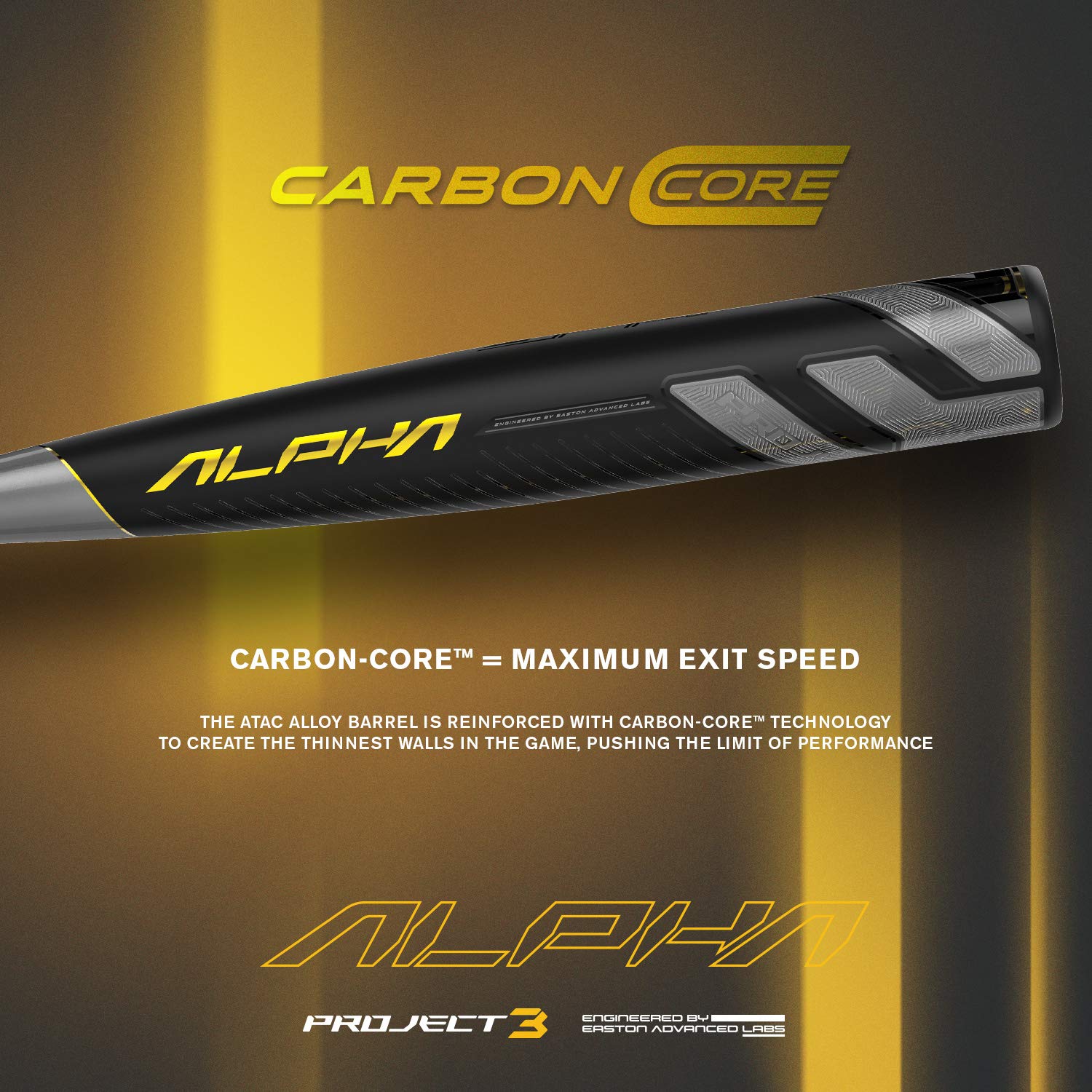 Easton Project 3 Alpha -3 BBCOR Baseball Bat | 33 inch / 30 oz | 2019 | 1 Piece Aluminum | Carbon-Core | ATAC Alloy | VRS COR | Speed End Cap, Multi (8065555)