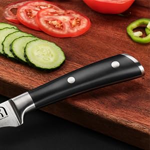 KnifeSaga Boning Knife 6 inch for kitchen, Japanese Razor Sharp Fillet Knife High Carbon Stainless Steel, Professional Meat Cutting Knife with Ergonomic Handle, Time-saving Deboning Knife