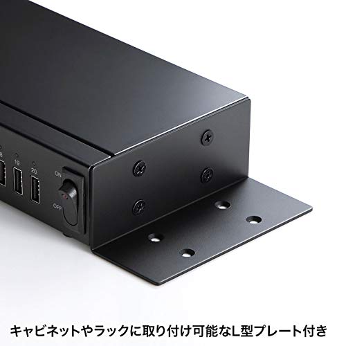 Sanwa Supply USB-2HCS20 USB Hub, 20 Ports, Charge and Sync Up to 20 iPad/Tablet, Self-Powered