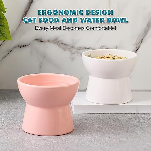 LIONWEI LIONWELI Ceramic Cat Feeder Bowl, Premium Pet Feeder, Extra Large 550 ML, Whisker Friendly, Microwave and Dishwasher Safe, 6.1 inch x 6.1 inch x 5.1 inch