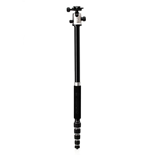 Benro MeFOTO Globetrotter Travel Tripod, Ballhead and Monopod in Titanium, 2 Series Aluminum Legs, 4 Leg Sections, Twist Leg Locks, Padded Carrying Case (BMGTATTN)