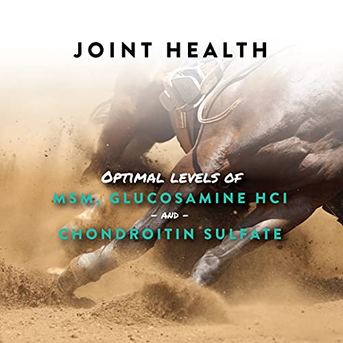 Manna Pro Sho-Flex Supplement for Horses | Formulated with MSM, Glucosamine, and Chondroitin | 5 Pounds