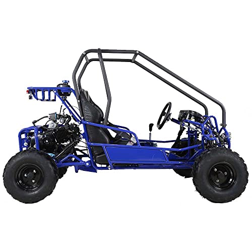 HHH Gokart GK125 is a125CC Gokart Fully Automatic Gas 2 Seater Kandi Mini Raptor gokart with Reverse for Youth (Blue)
