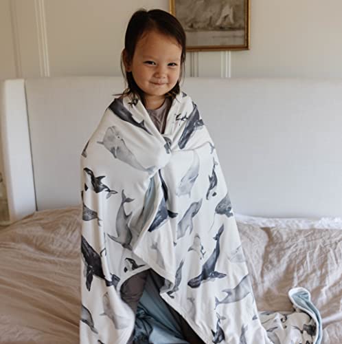 Pobi Baby Premium Baby Blanket, Soft Stretchy Quilt for Babies, Toddlers, Kids (Seaside)