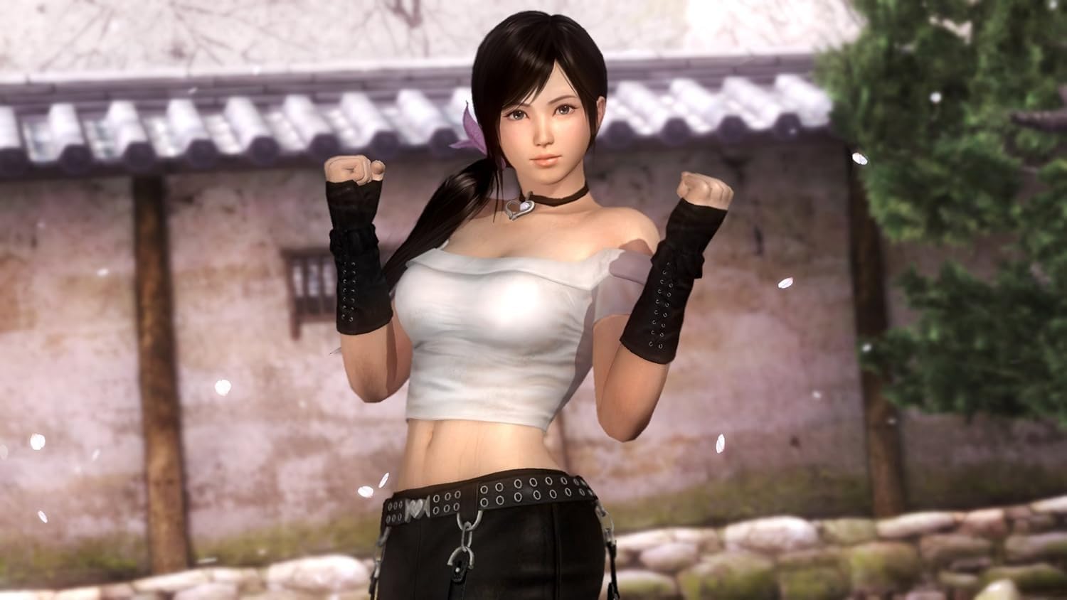 Dead or Alive 5 Ultimate - PS3